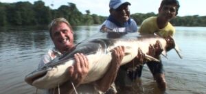 Amazon's Giant: Unraveling the Epic Migration of the Dorado - Ocean ...